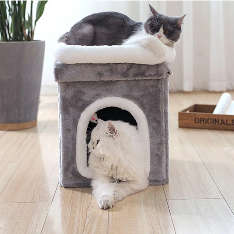 Cat Supplies – Meredith Place