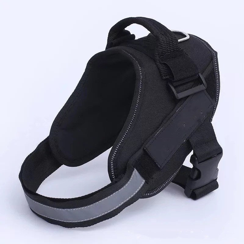 Dog Harness – Meredith Place